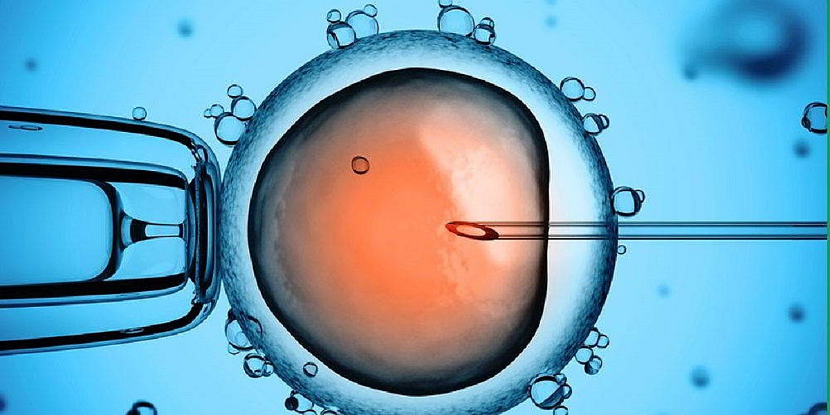 Salute riproduttiva e fertilità, i micronutrienti che influenzano gli ...
