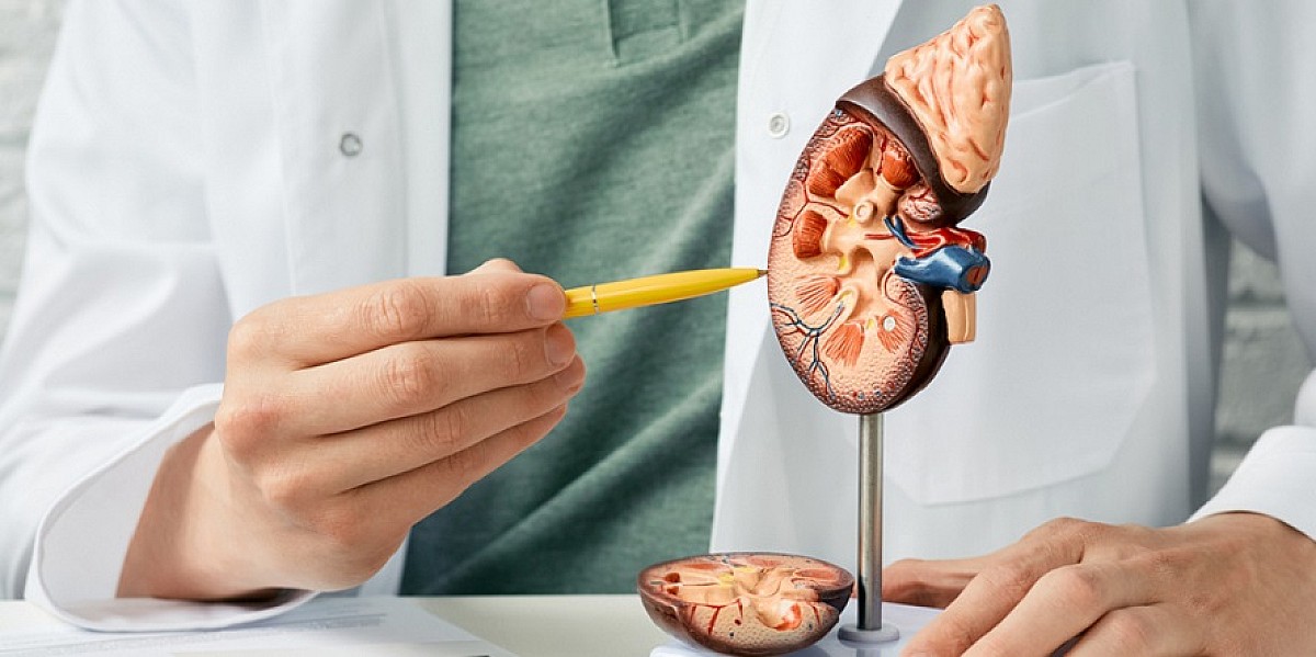 ACE inibitori e sartani nella prevenzione della insufficienza renale ...