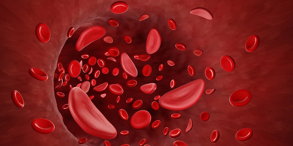 Talassemia, via libera Ue a mitapivat per l’anemia negli adulti | Doctor33