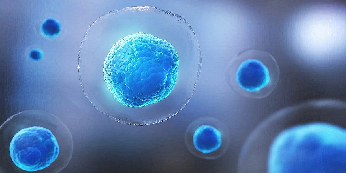 Cellule mesenchimali: razionale ed evidenza preclinica | Ortopedia33