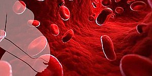 Emorragia post-partum, nuove linee guida per diagnosi più rapide e cure ...